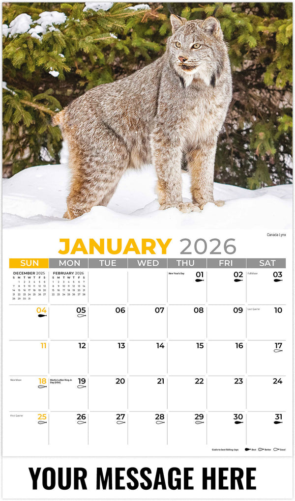 Galleria North American Wildlife - 2026 Promotional Calendar